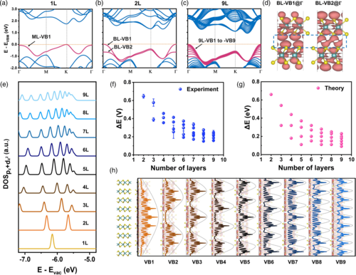 STM | Ji Group@Renmin Univ.