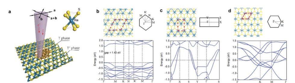 STEM beam effect | Ji Group@Renmin Univ.