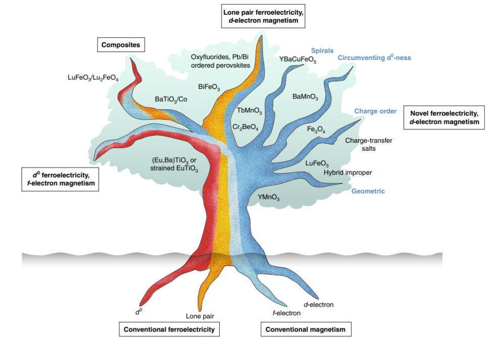 2D multiferroics | Ji Group@Renmin Univ.