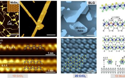 Ji Group@Renmin Univ. | Theory for low dimensional quantum materials