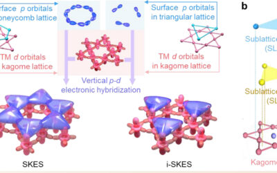 Ji Group@Renmin Univ. | Theory for low dimensional quantum materials