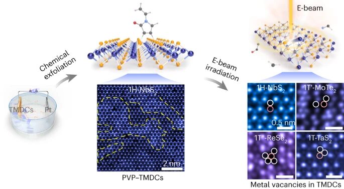 Atomically engineering metal vacancies in monolayer transition metal ...