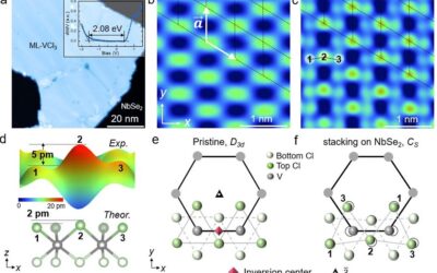 Ji Group@Renmin Univ. | Theory for low dimensional quantum materials