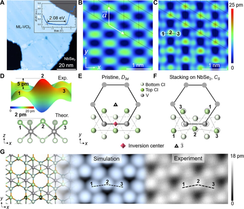 Evidence of Ferroelectricity in an Antiferromagnetic Vanadium ...